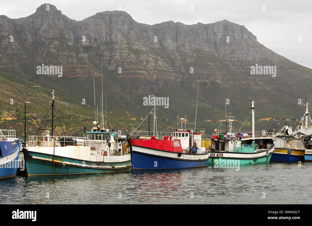 South africa hout bay fish hi-res stock photography and images - Alamy