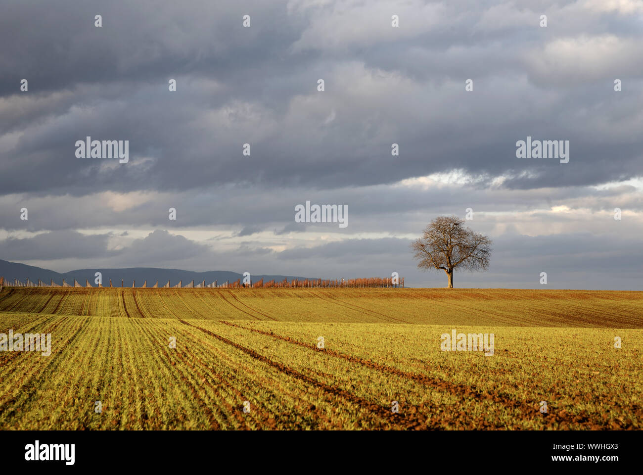 Inconsistent hi-res stock photography and images - Alamy