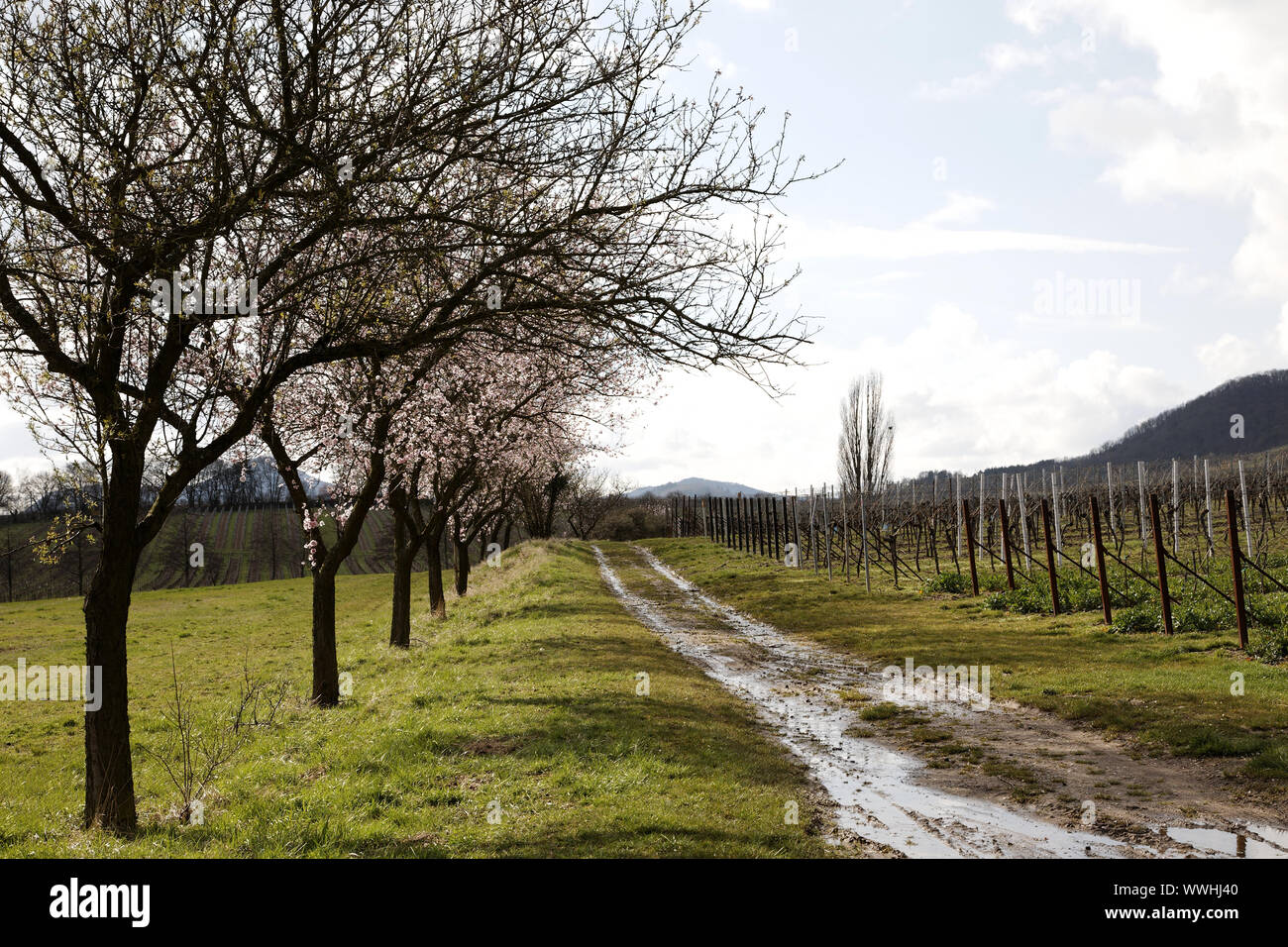 Weather april hi-res stock photography and images - Alamy