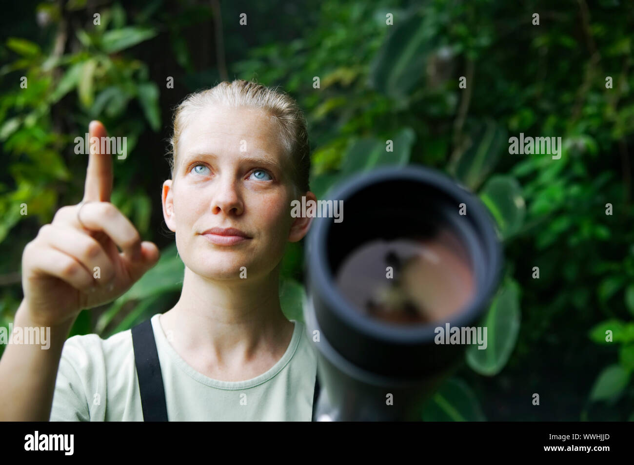 Pretty nature guide with a telescope in the rainforest Stock Photo - Alamy