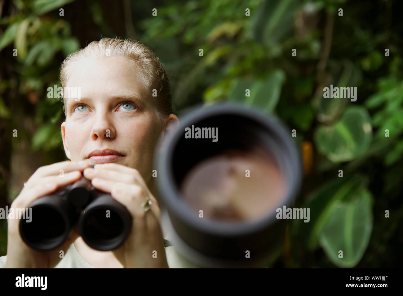 Pretty nature guide with a telescope in the rainforest Stock Photo - Alamy