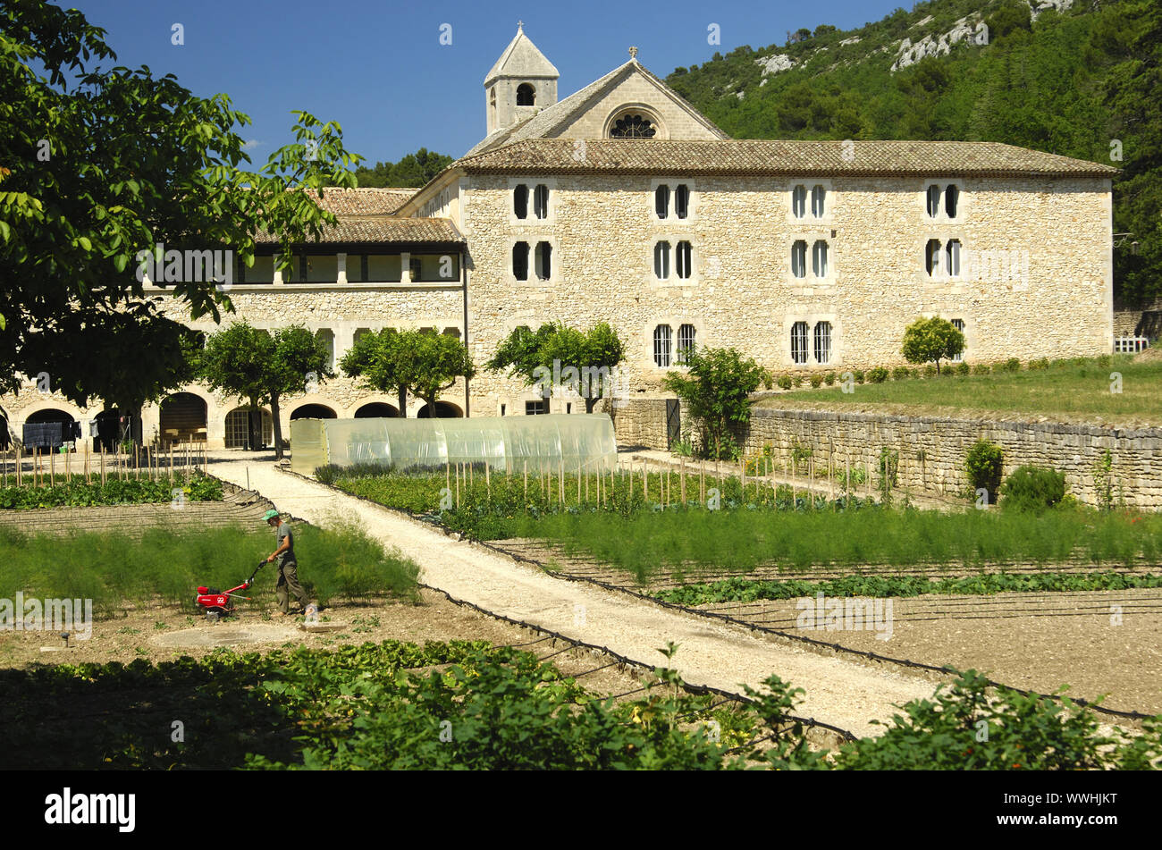 Monastery garden, Gordes, Provence, France Stock Photo - Alamy