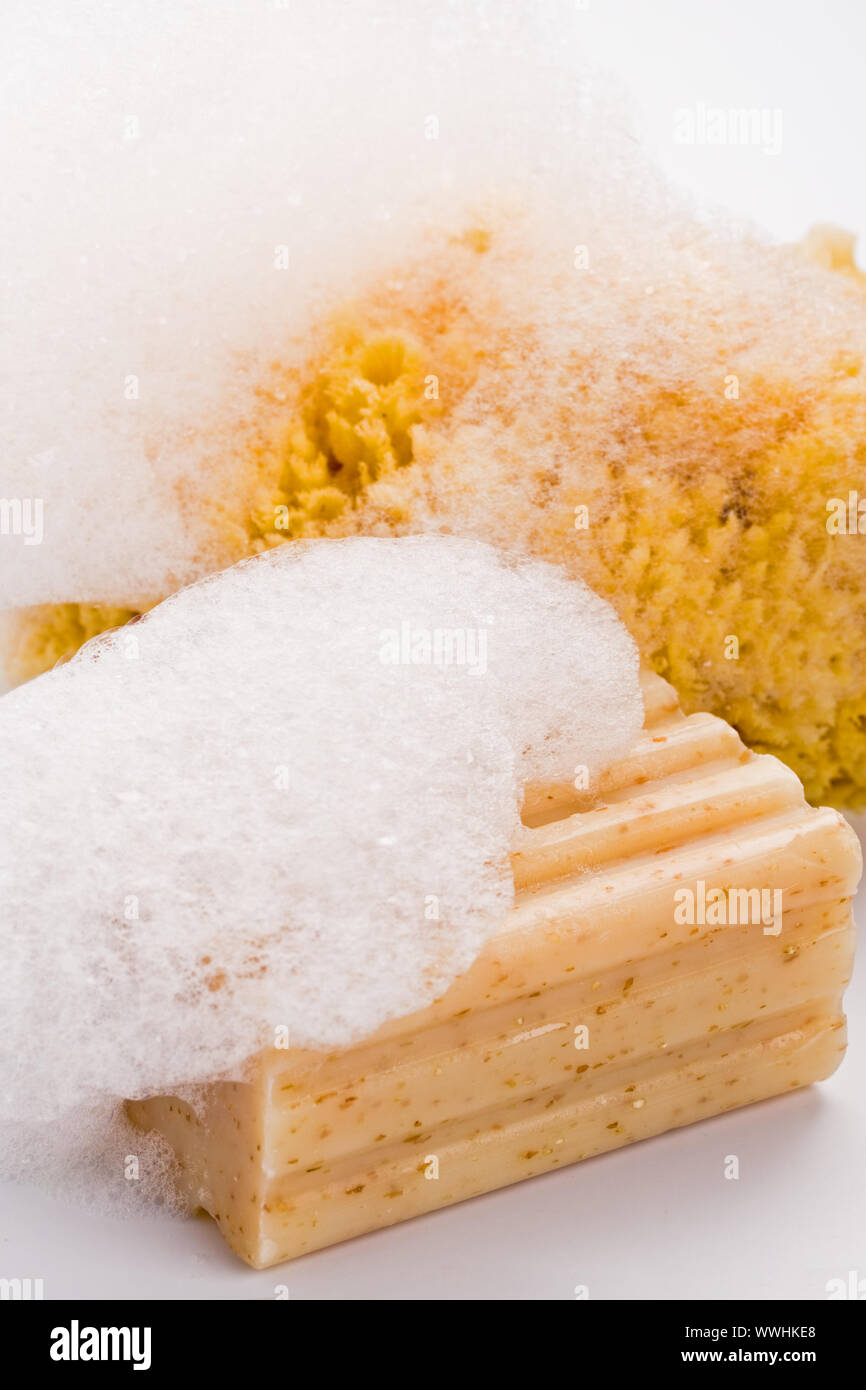soap and natural sponge with foamcloseup Stock Photo - Alamy
