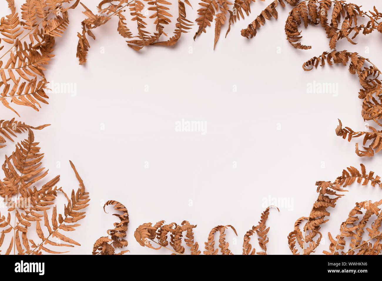 Floral borders on frame hi-res stock photography and images - Alamy