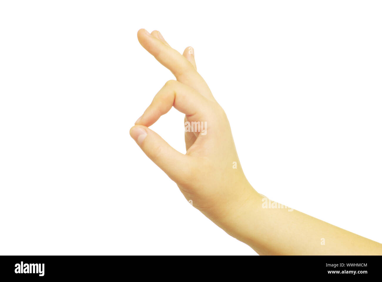 hand isolated on a white Stock Photo - Alamy