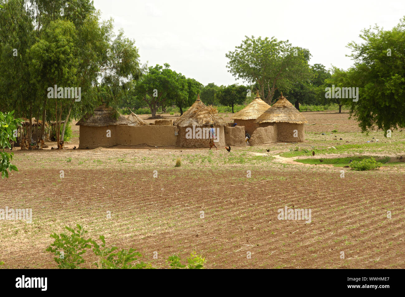 African homestead, Burkina Faso Stock Photo - Alamy