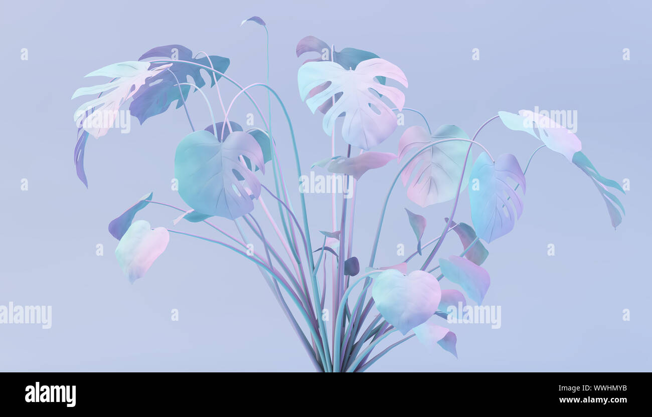 minimal violet plant 3d rendering Stock Photo - Alamy