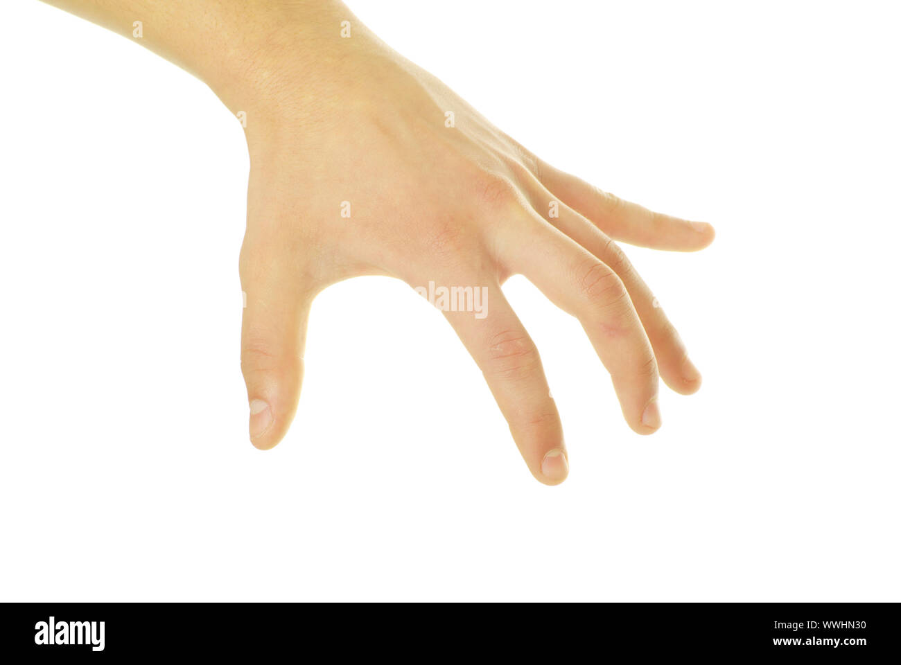 hand isolated on a white background Stock Photo - Alamy