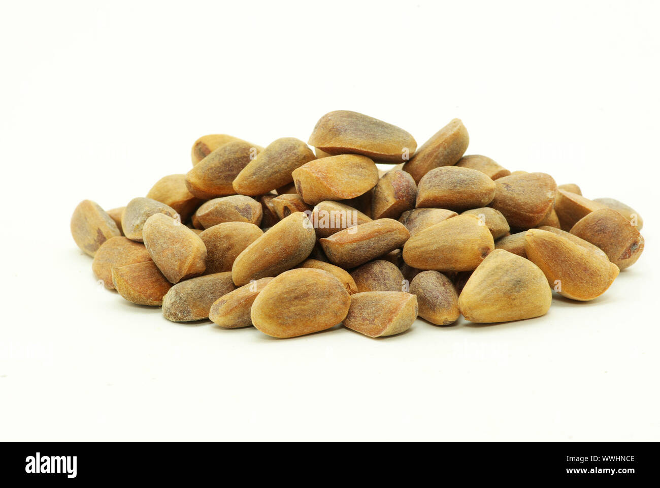 Brown cedar nuts fruit on white background Stock Photo - Alamy