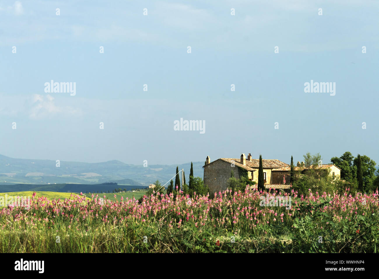 Tuscany in spring Stock Photo - Alamy