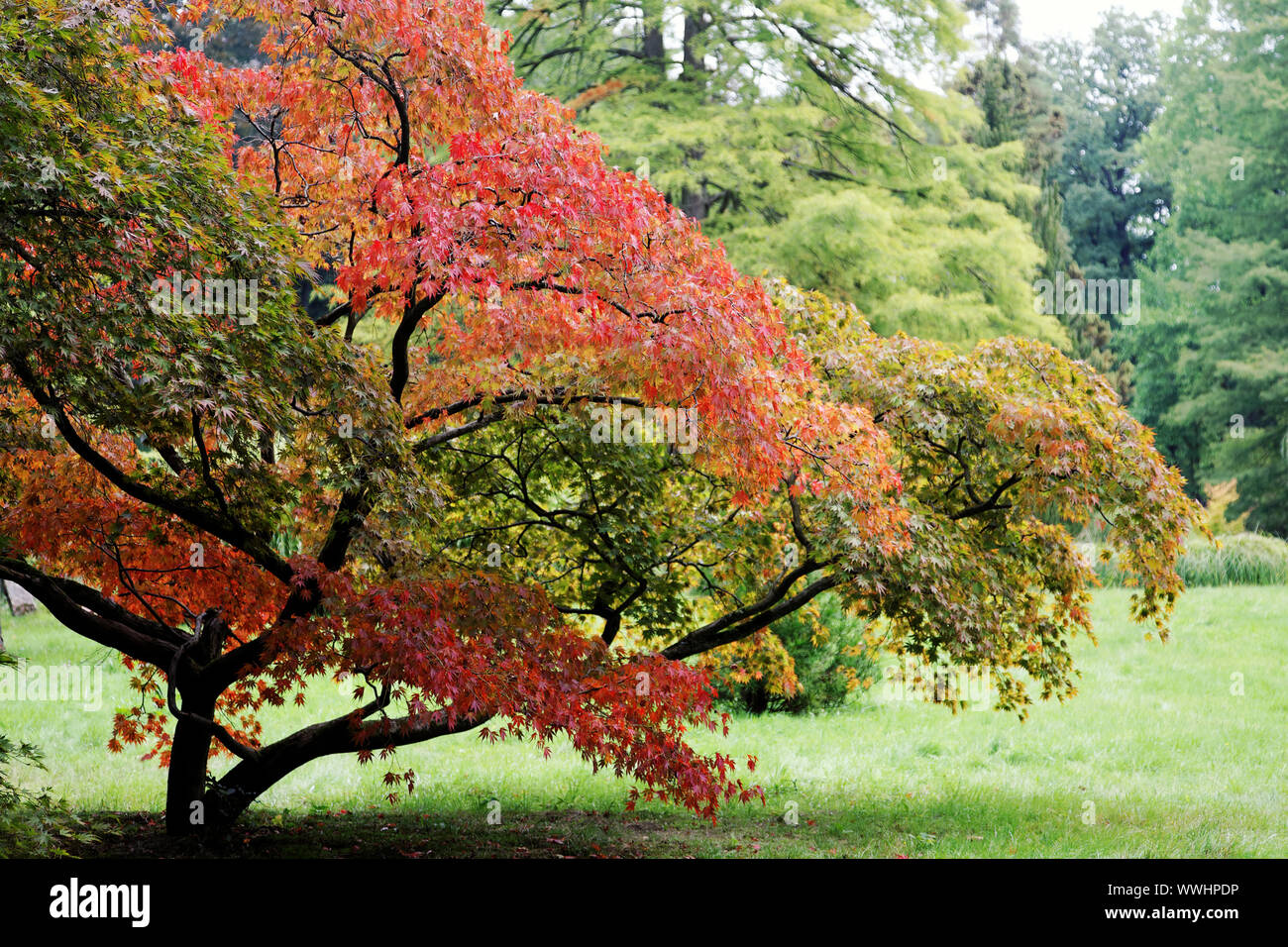 It will be autumn Stock Photo - Alamy