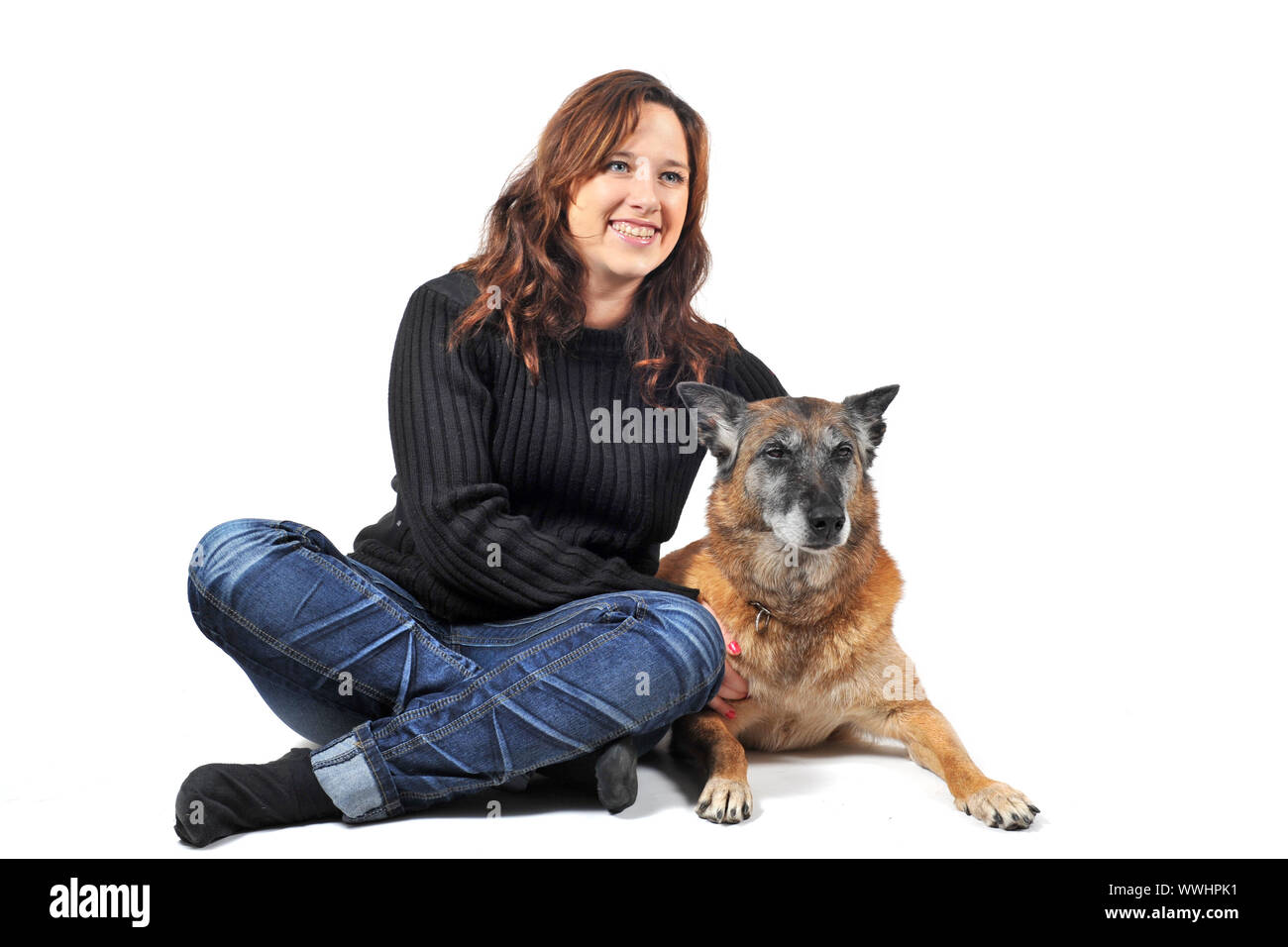 Senior malinois hi-res stock photography and images - Alamy