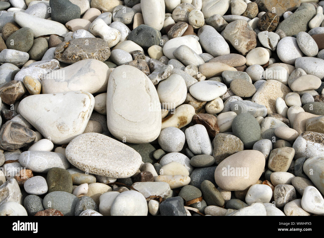 Pebbles on the beach Stock Photo - Alamy