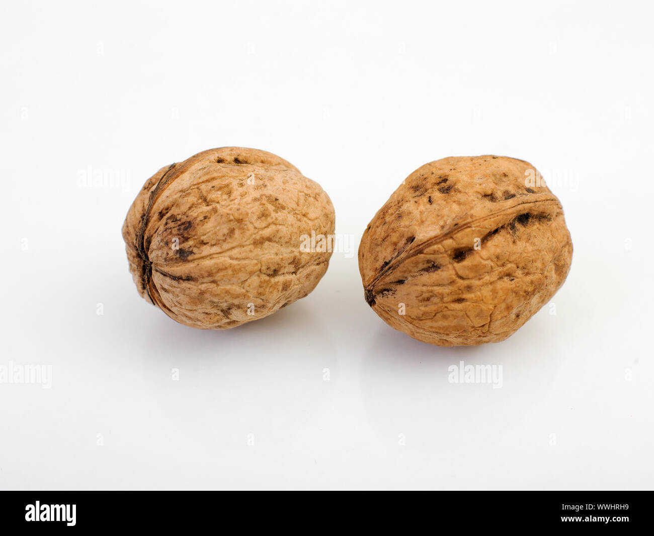 Two nuts laying beside on a white background Stock Photo - Alamy
