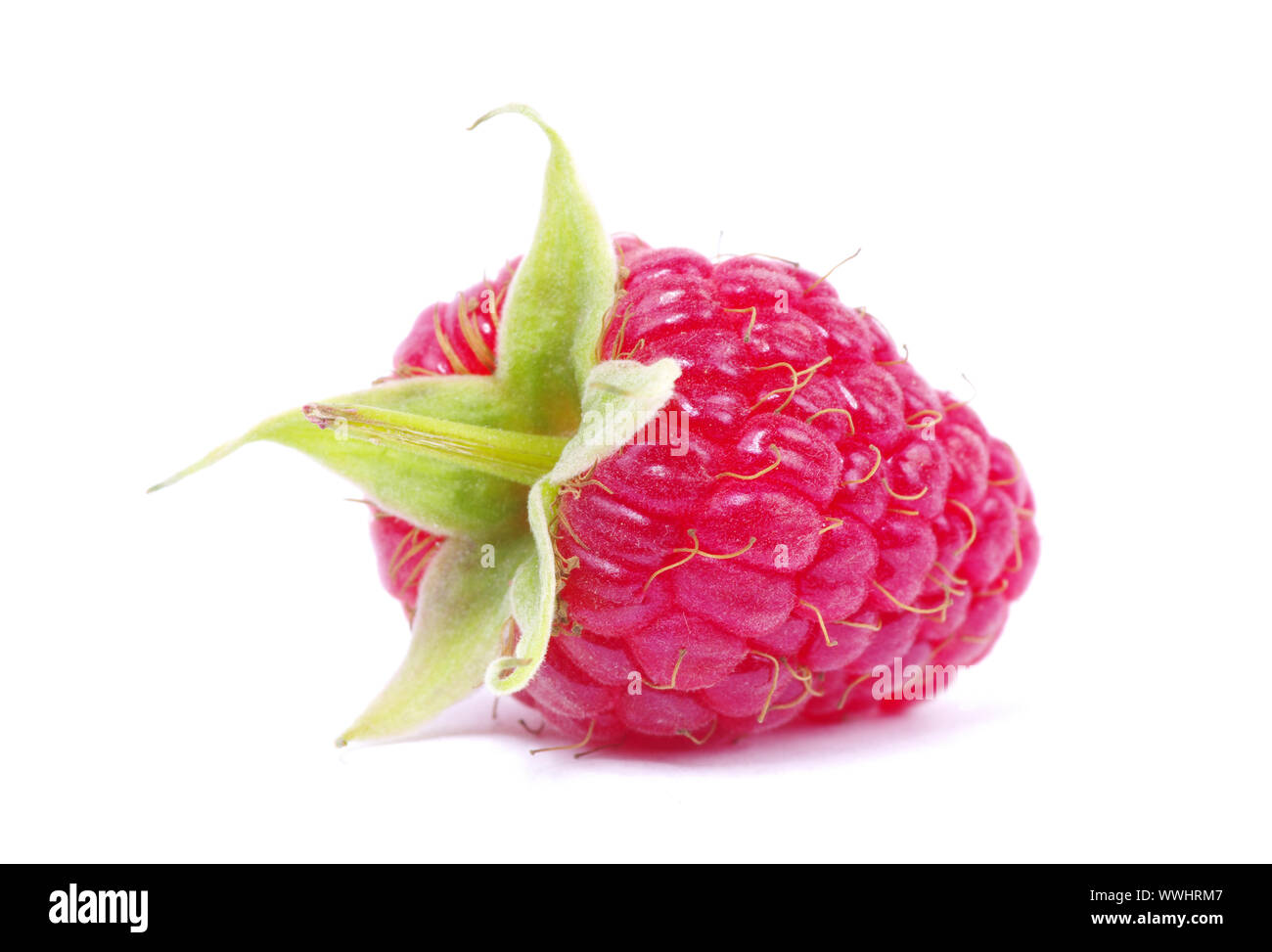 fresh raspberry closeup isolated on white background Stock Photo - Alamy