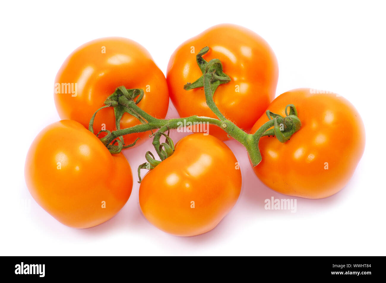 tomato isolated on a white Stock Photo - Alamy