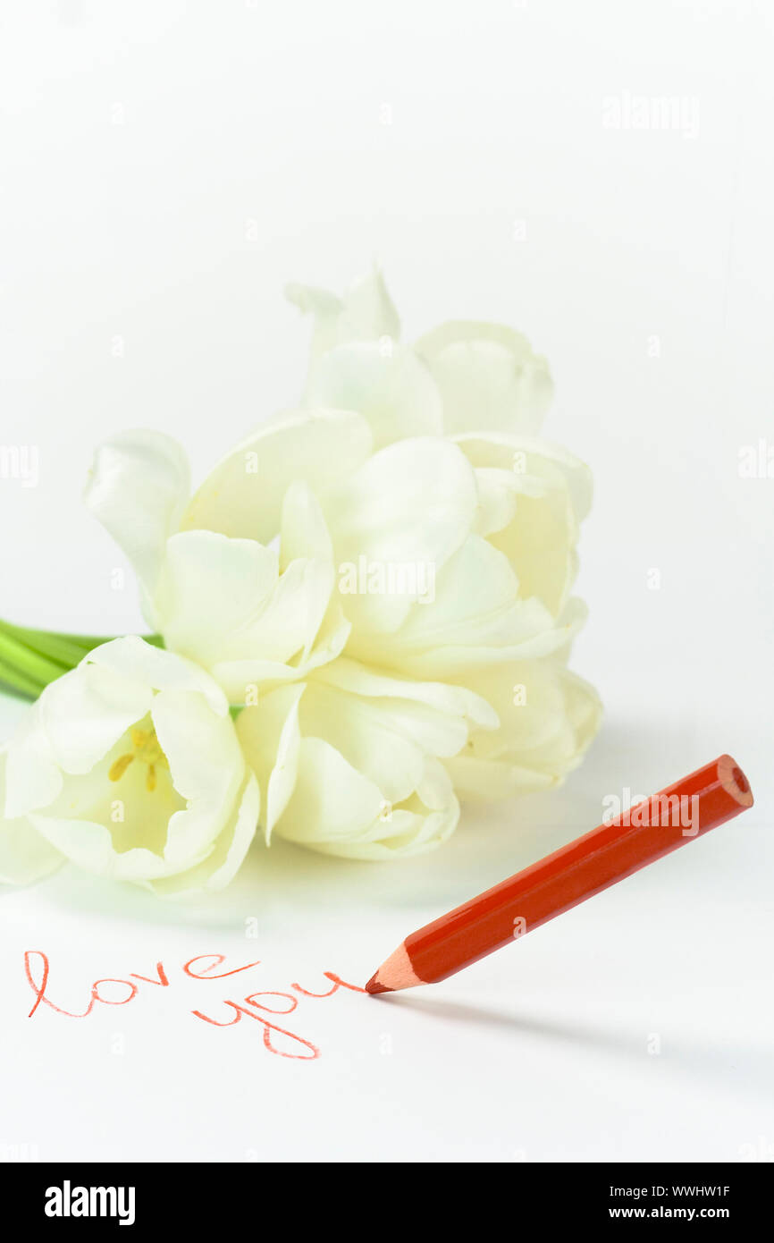 pencil writing "I love you" and beautiful white tulips on white ...
