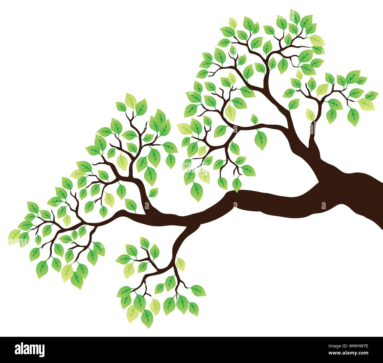 Tree branch with green leaves 1 Stock Vector Image & Art - Alamy