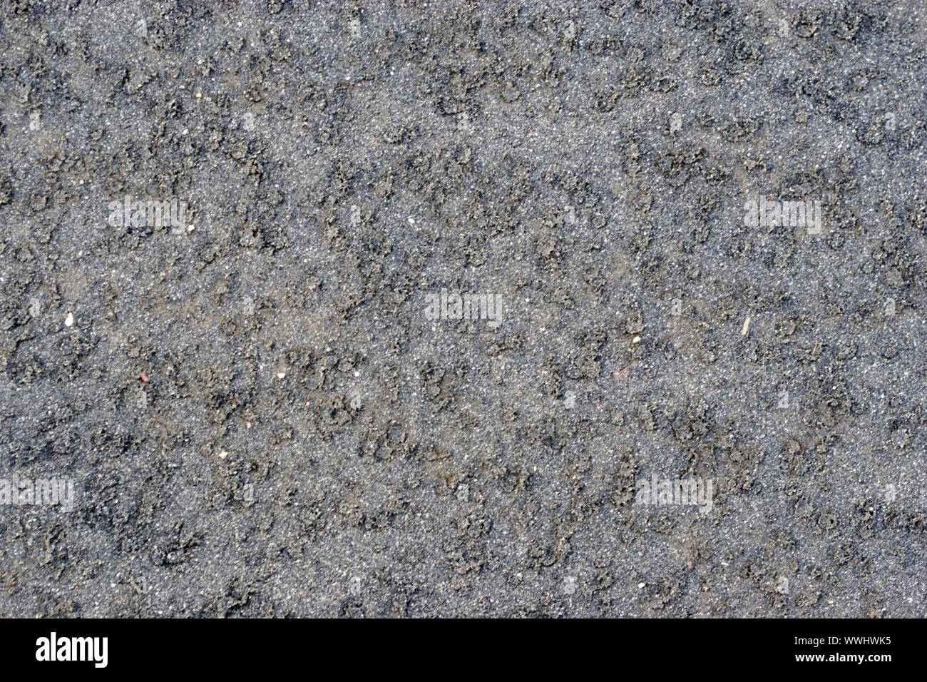 Surface of sand Stock Photo - Alamy
