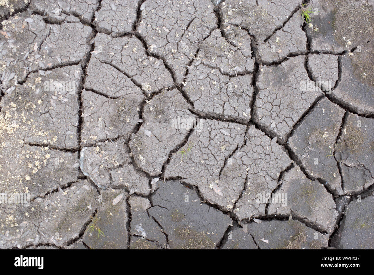 The cracked surface of ground Stock Photo - Alamy