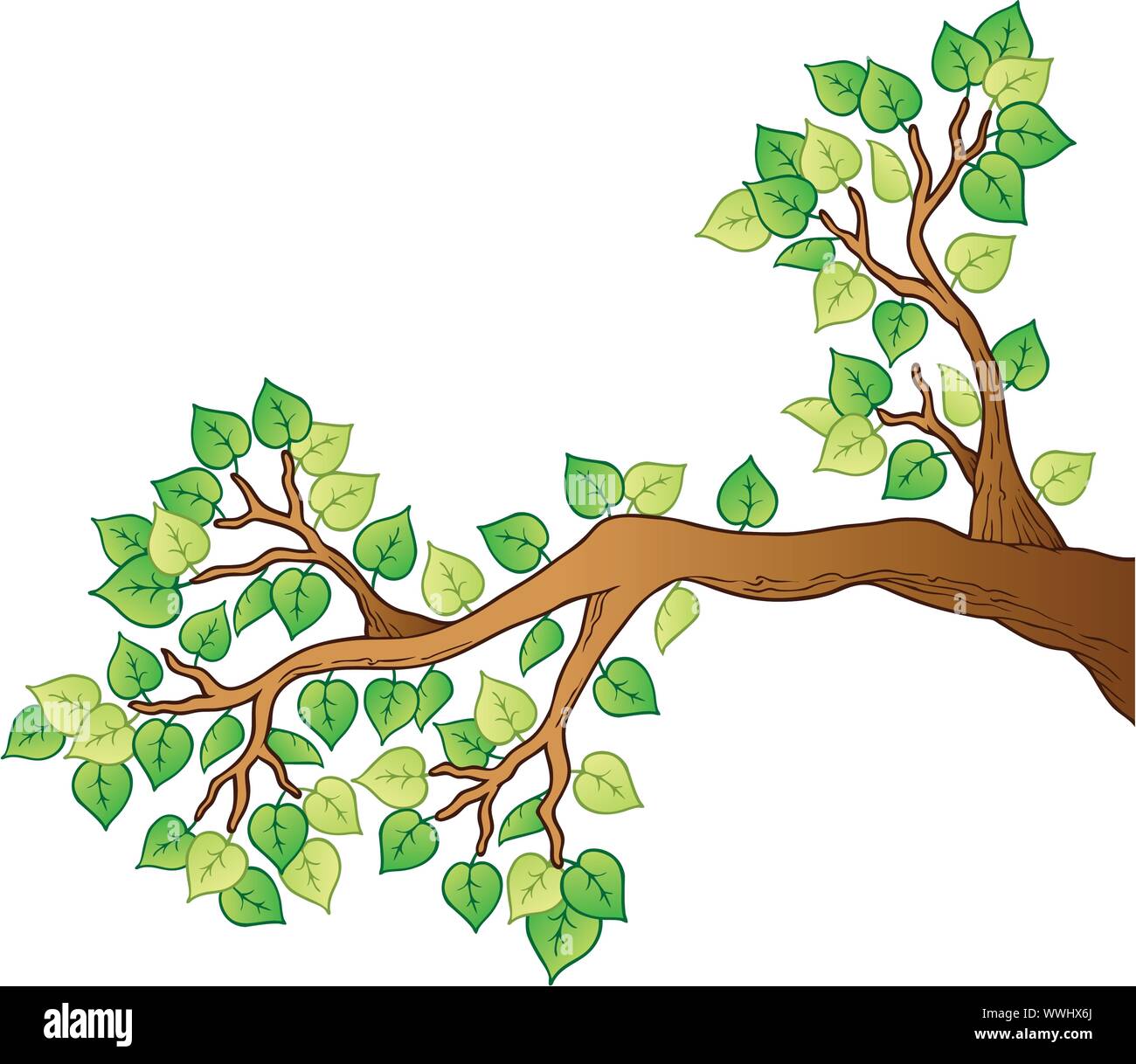 Cartoon tree branch with leaves 1 Stock Vector Image & Art - Alamy