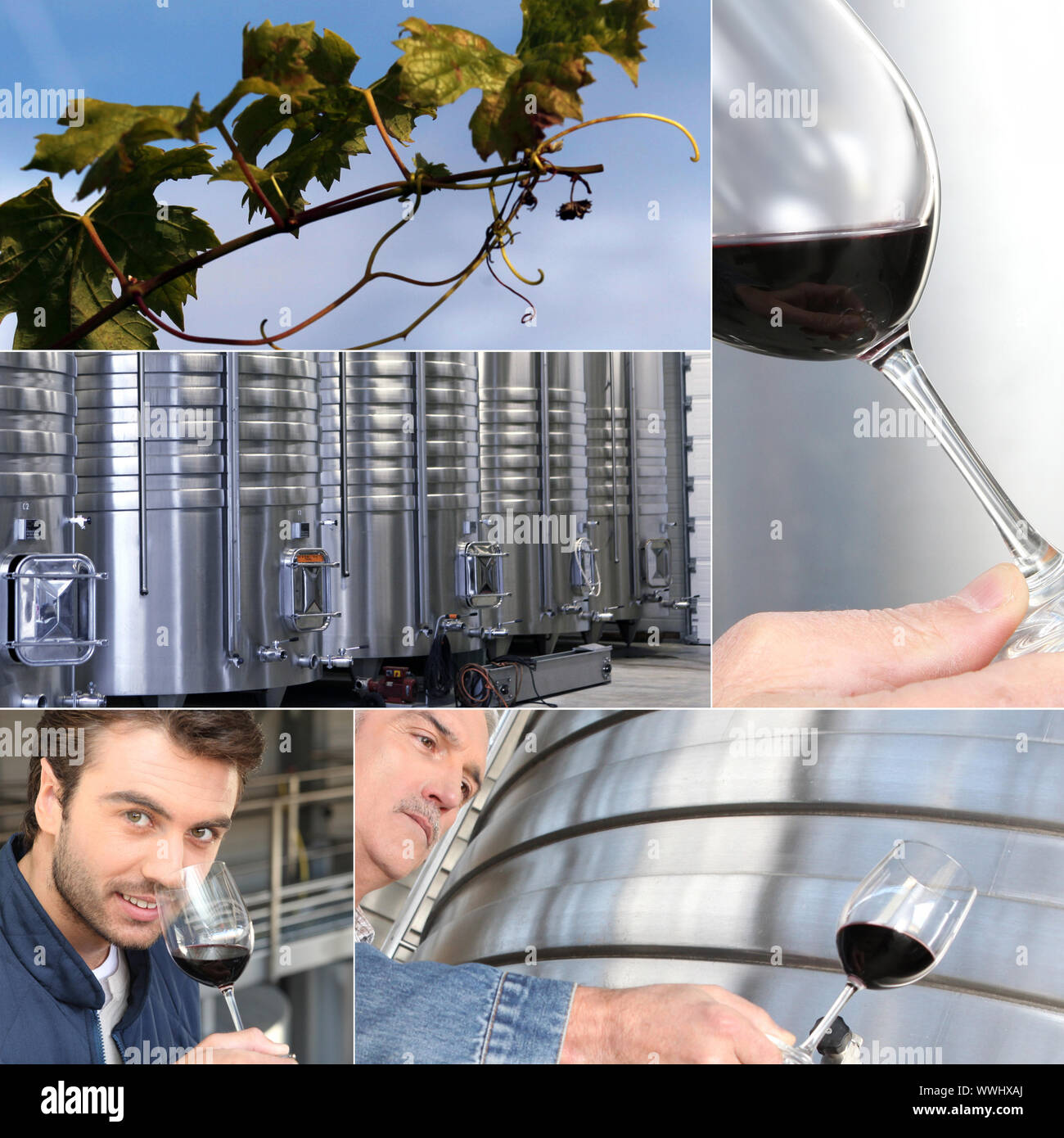 Analyse images hi-res stock photography and images - Alamy