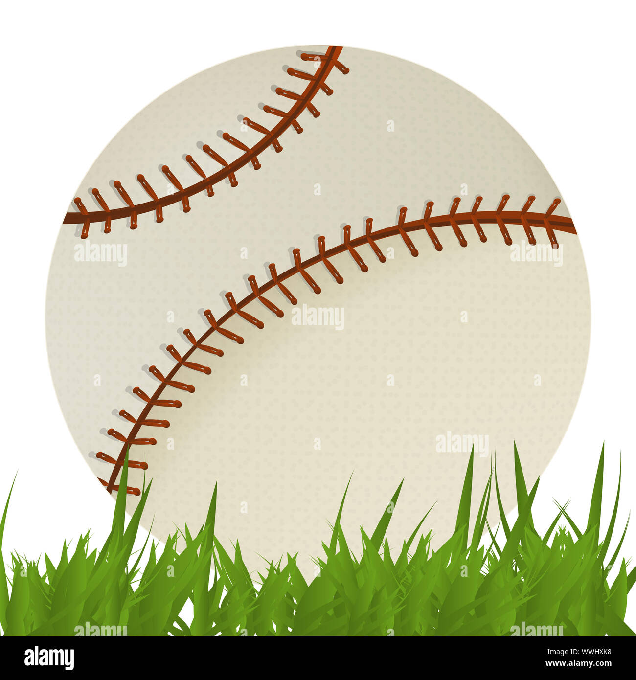 Baseball ball in the grass, isolated objects over white background ...