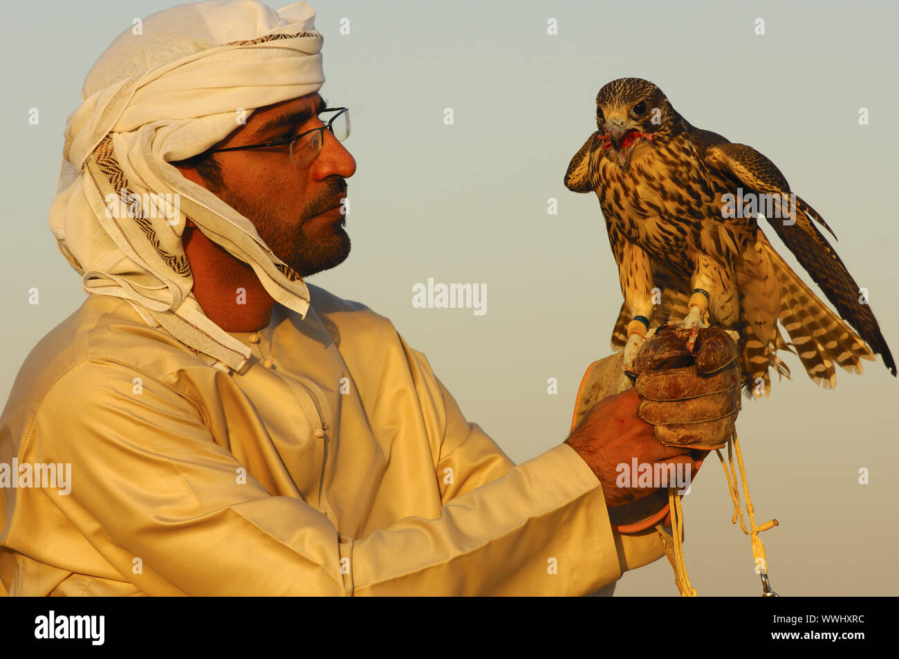 Falconer tradition hi-res stock photography and images - Alamy