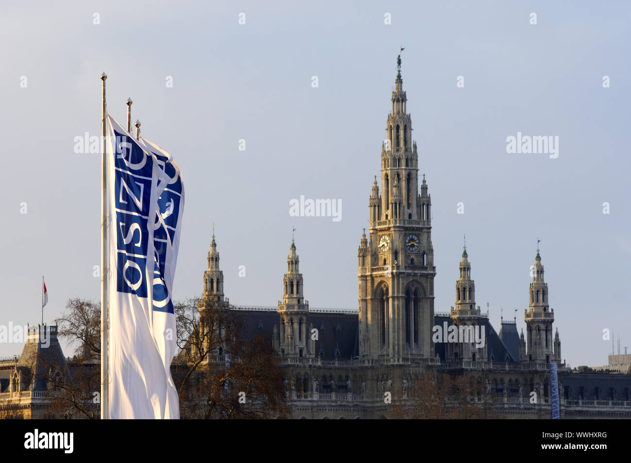 OSCE flag in front of Vienna City Hall Stock Photo - Alamy