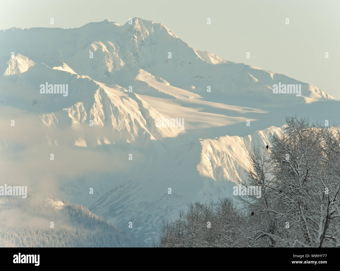 Chilkat mountains alaska usa hi-res stock photography and images - Alamy