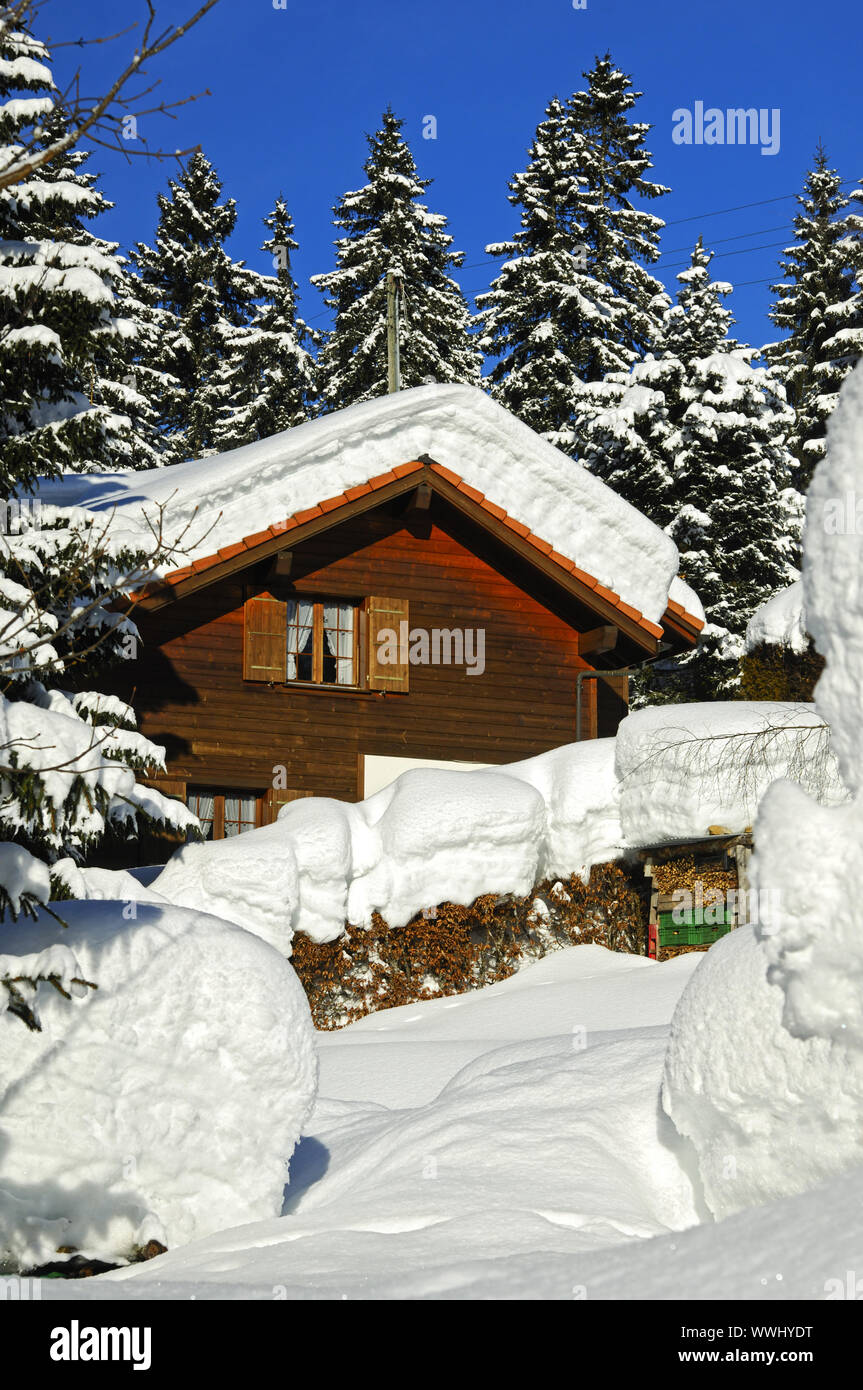 Deep snow-covered log cabin at the edge of the forest Stock Photo - Alamy