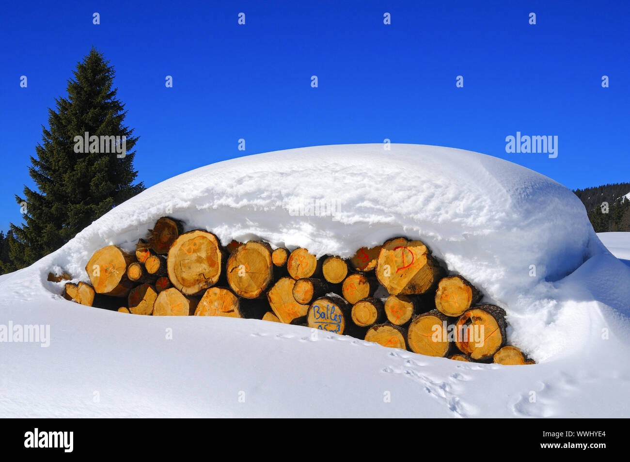 Thick logs hi-res stock photography and images - Alamy