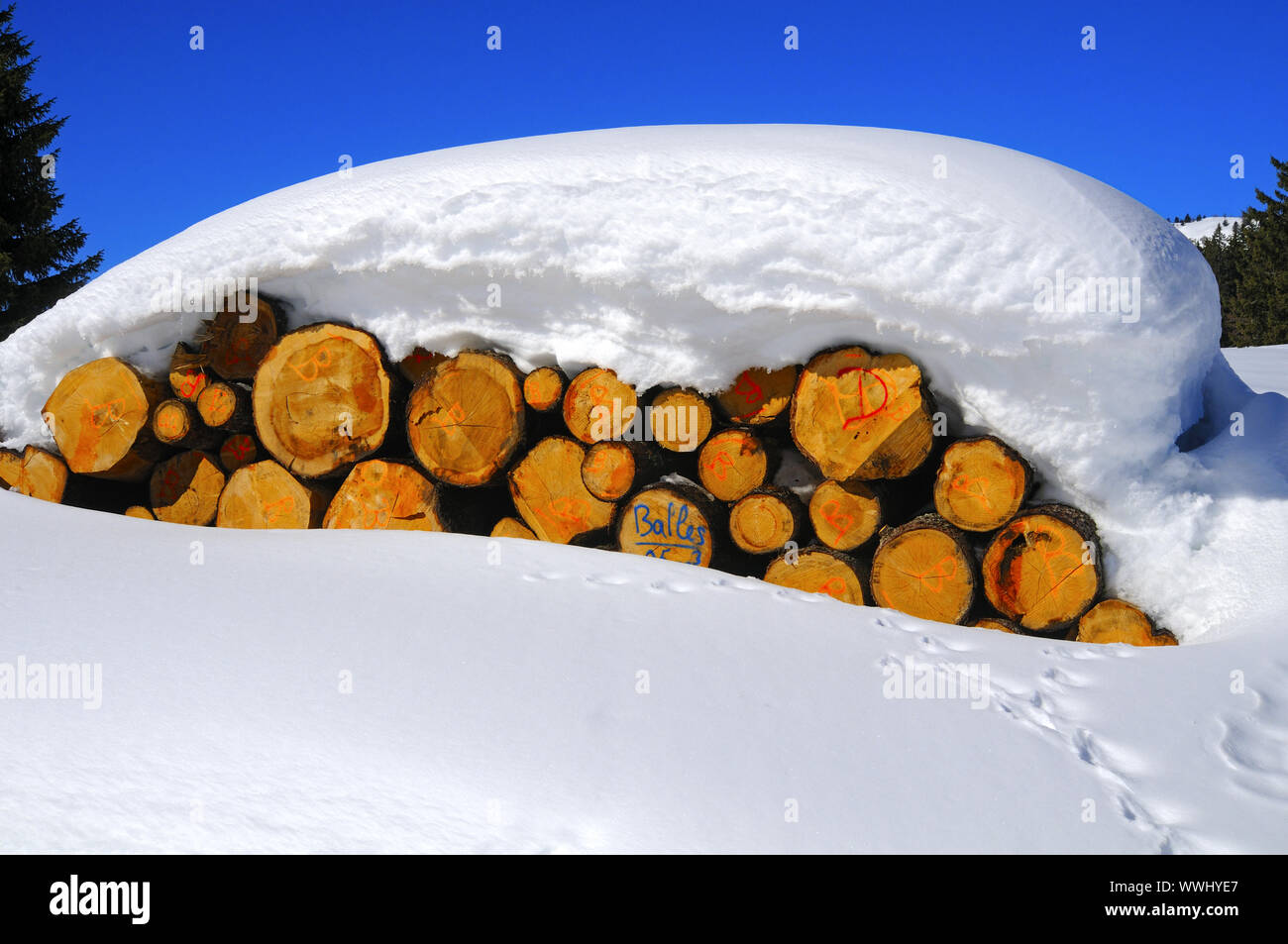 Thick logs hi-res stock photography and images - Alamy