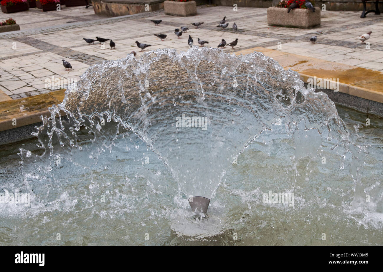 Pigeon shooting fountain hi-res stock photography and images - Alamy