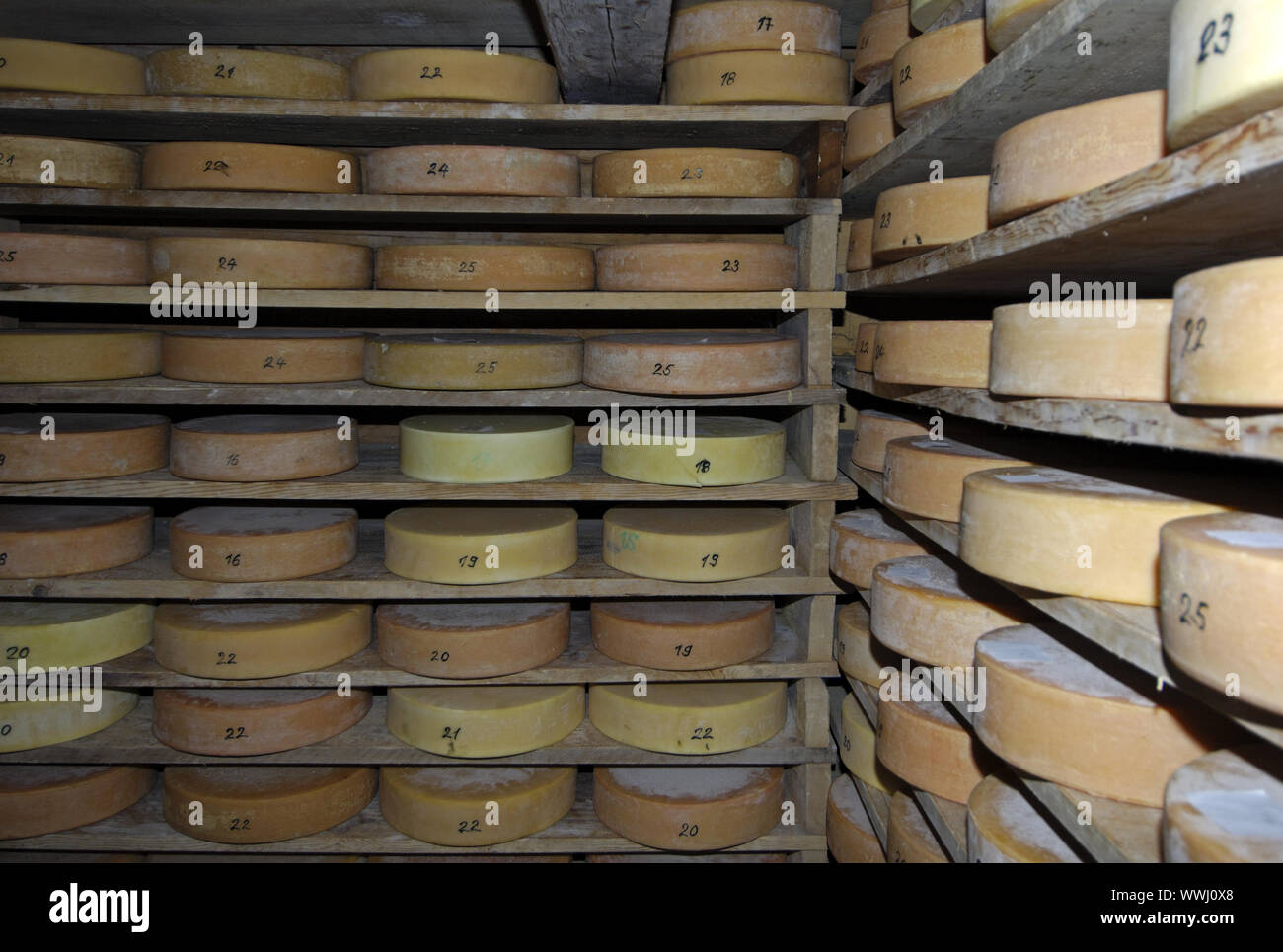 Round Swiss alp cheese in the attic Stock Photo - Alamy