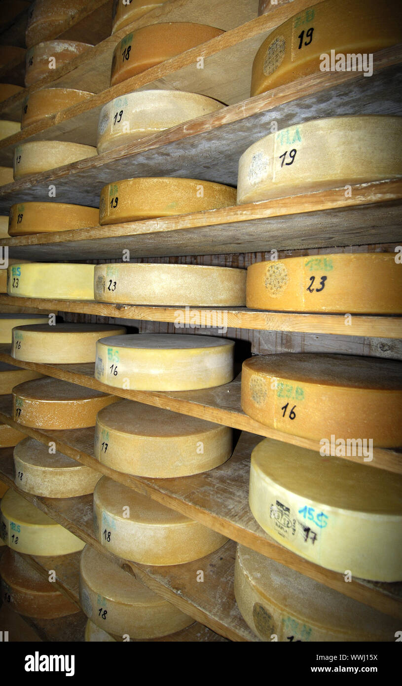 Swiss Alpine cheese in the attic Stock Photo - Alamy
