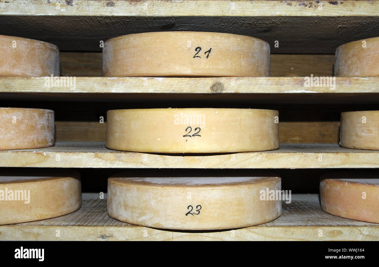 Alpine cheese hi-res stock photography and images - Alamy