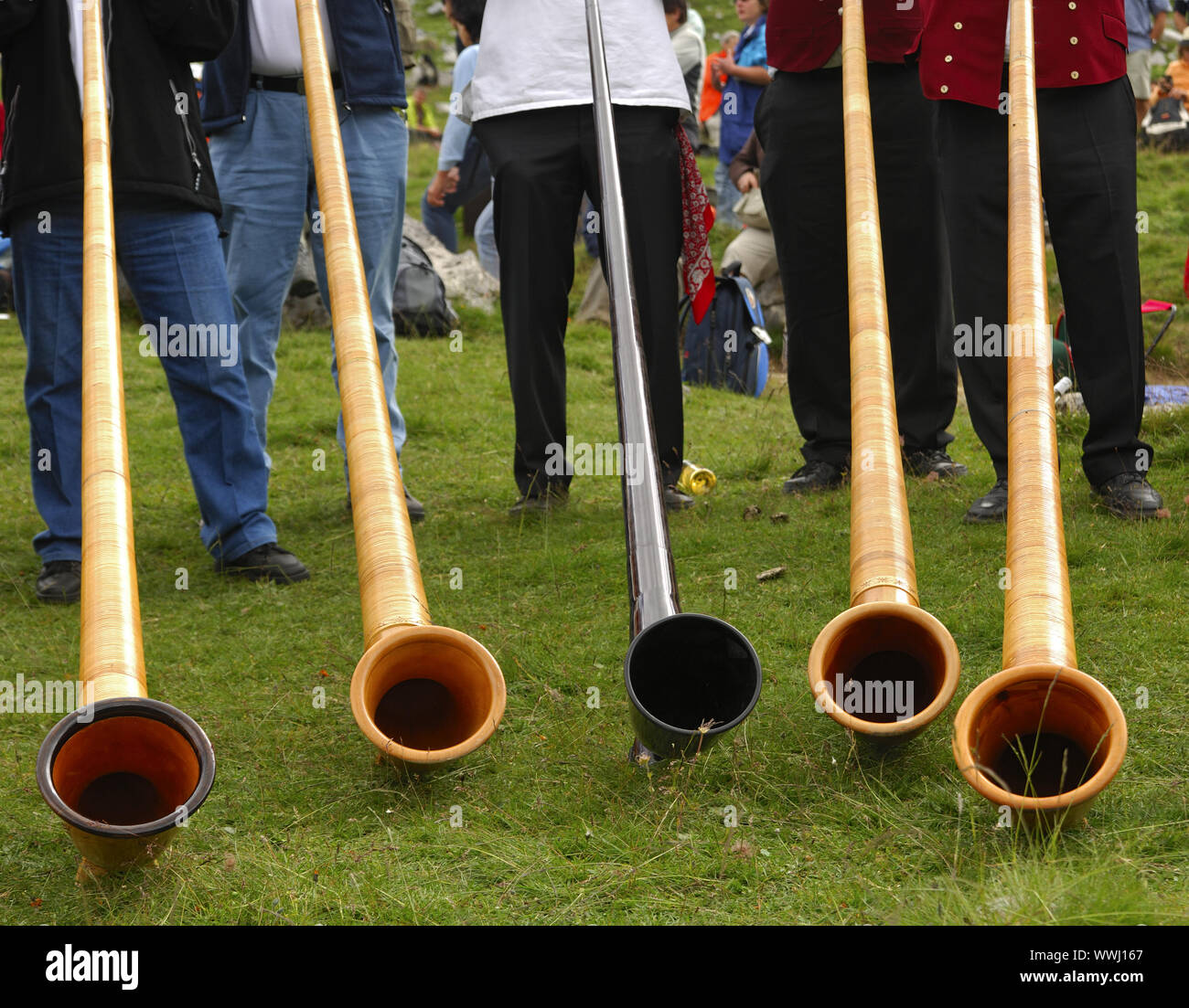 Swiss Alphorn players Stock Photo - Alamy