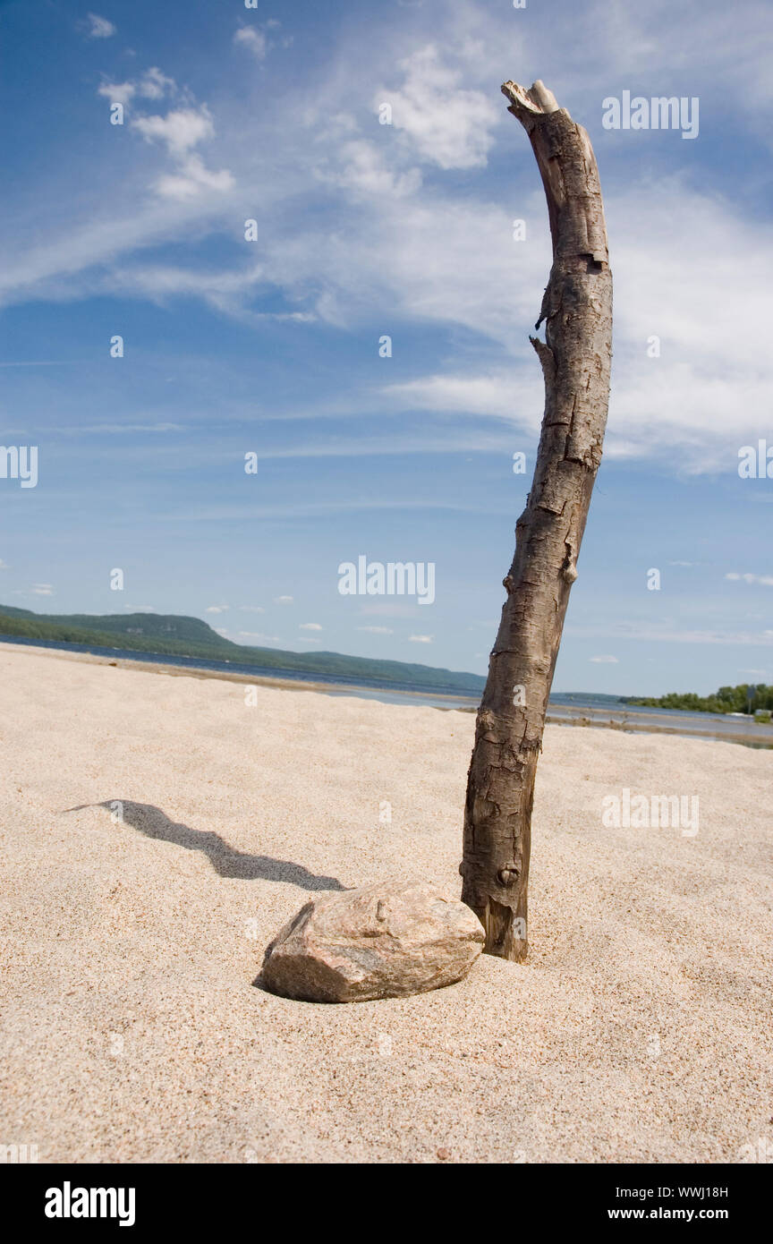 a branch of a dead tree and a rock in the sand Stock Photo - Alamy