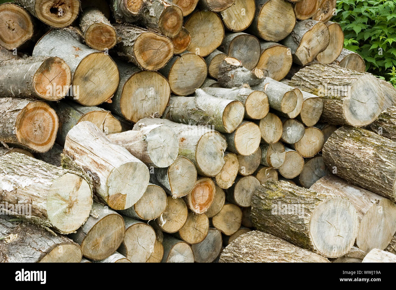 a bunch of logs stacked on each other Stock Photo - Alamy