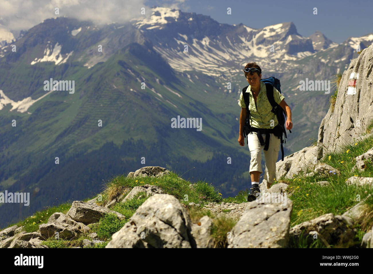 Hikers in the Swiss Alps Stock Photo - Alamy