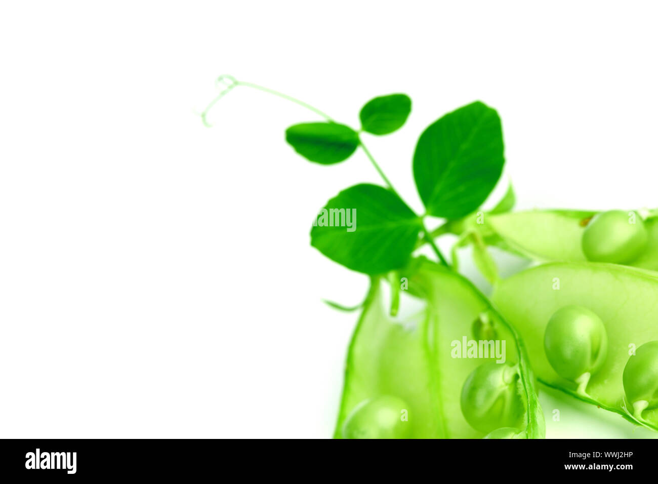 Pea and leaf isolated on white Stock Photo - Alamy