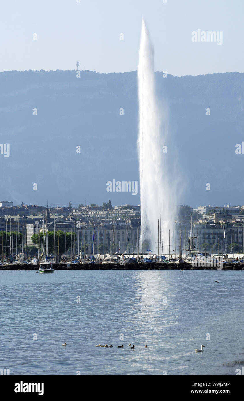 The giant Jet d'Eau fountain, Geneva Stock Photo - Alamy