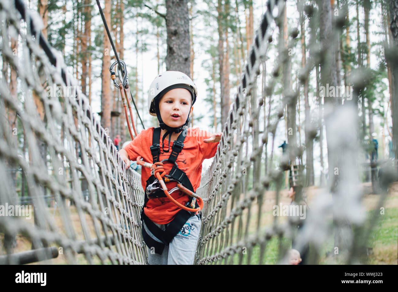 Little boy with climbing gear climbing rope trail between pine trees in ...