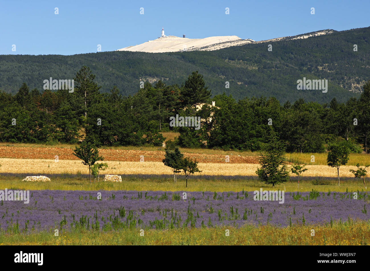 Landscape in Provence Stock Photo - Alamy