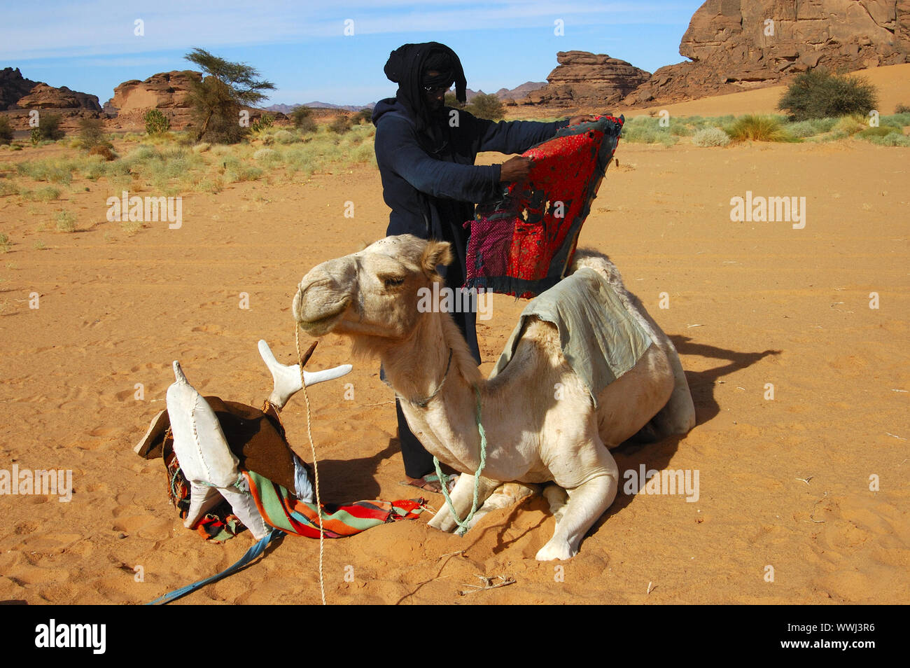 White mehari hi-res stock photography and images - Alamy