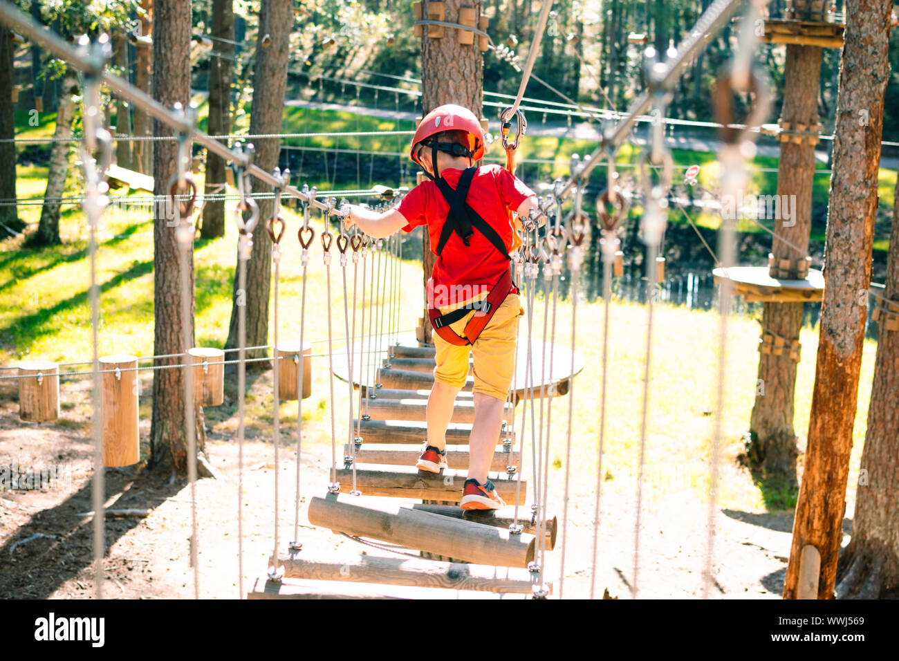 Little boy with climbing gear climbing rope trail between pine trees in ...