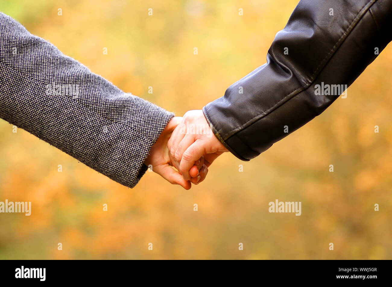 Hand-in-hand. Couple love in autumn scenery Stock Photo - Alamy
