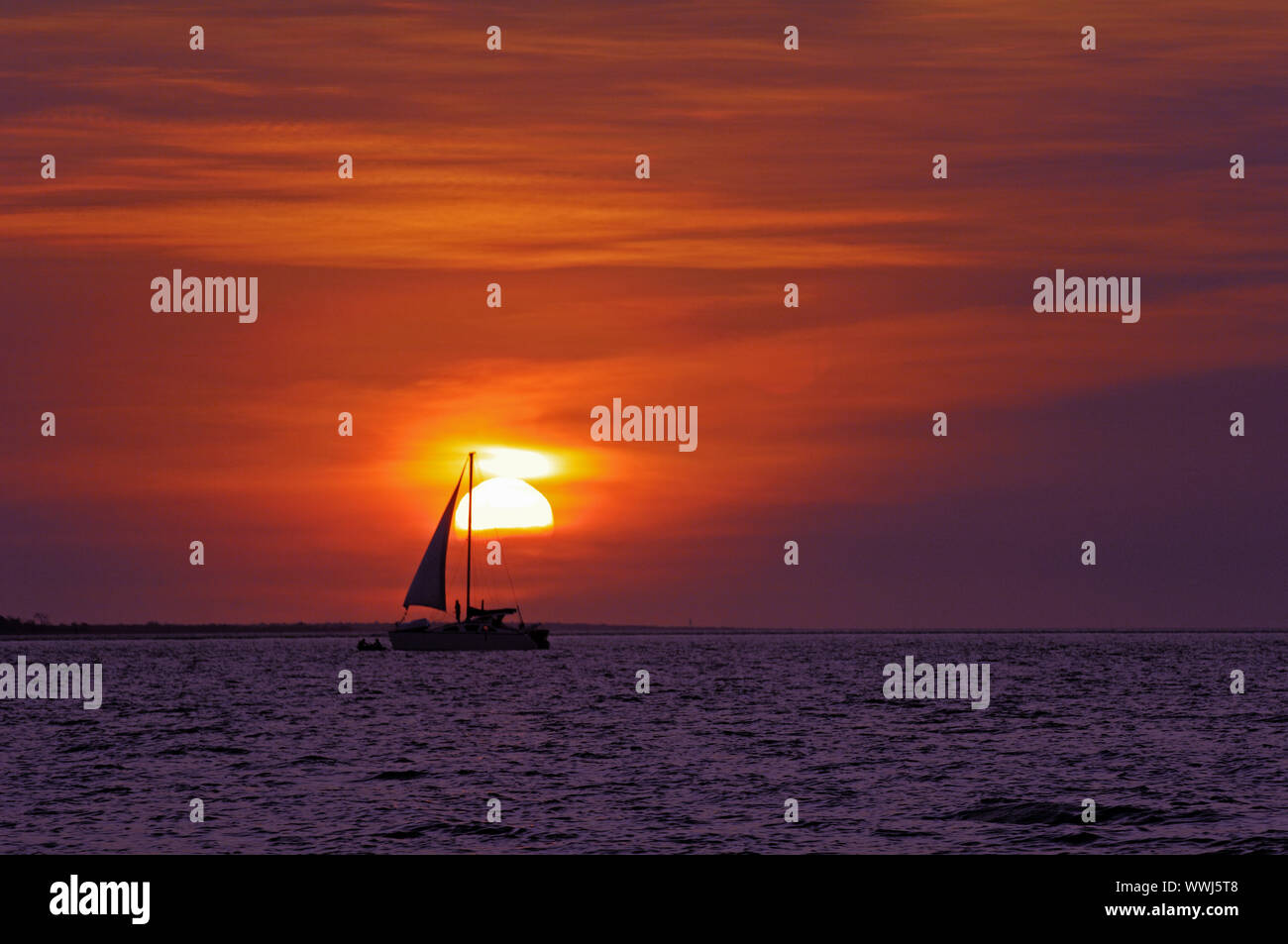 Darwin strand hi-res stock photography and images - Alamy