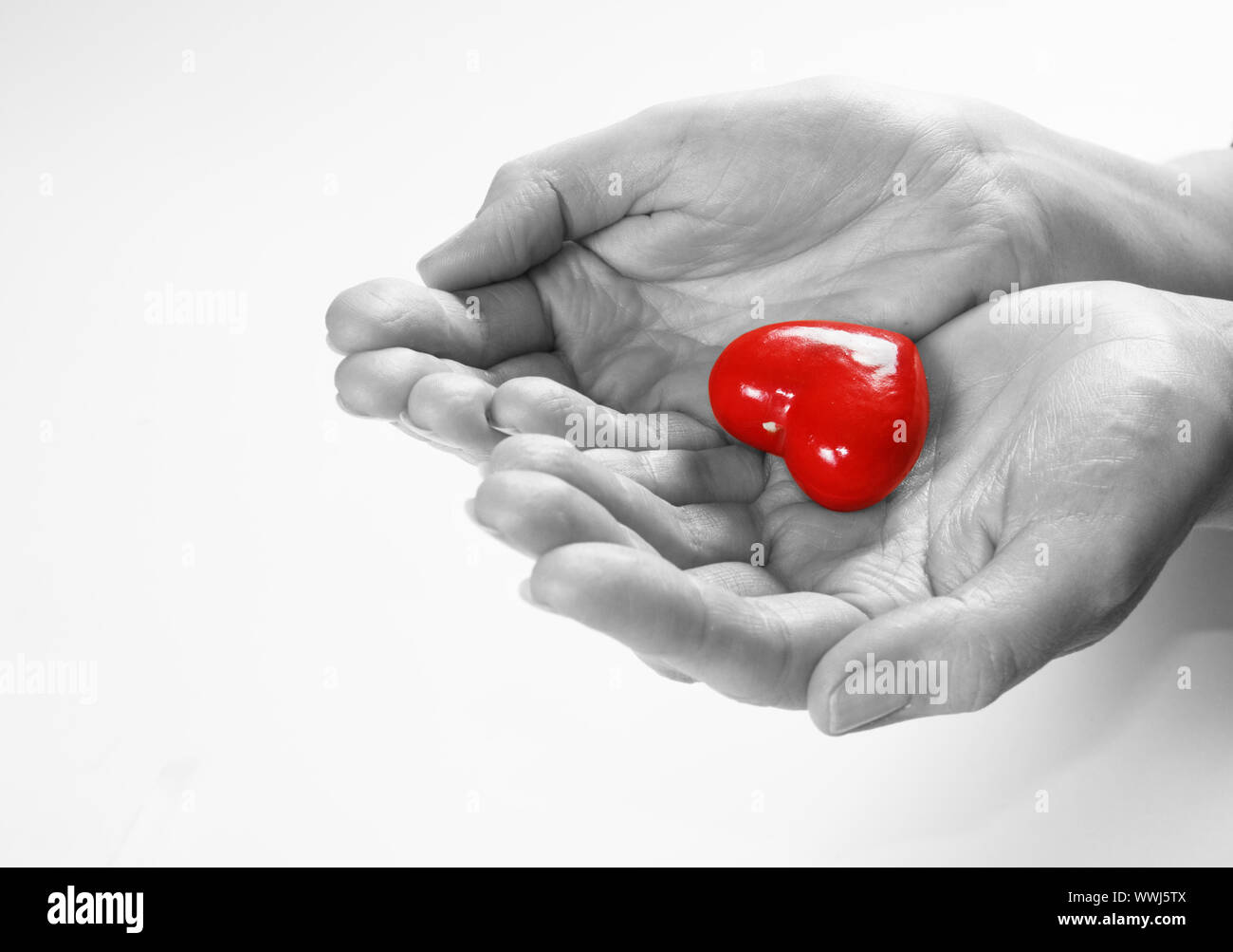 Heart in hands conceptual image. Love, care, health themes Stock Photo ...